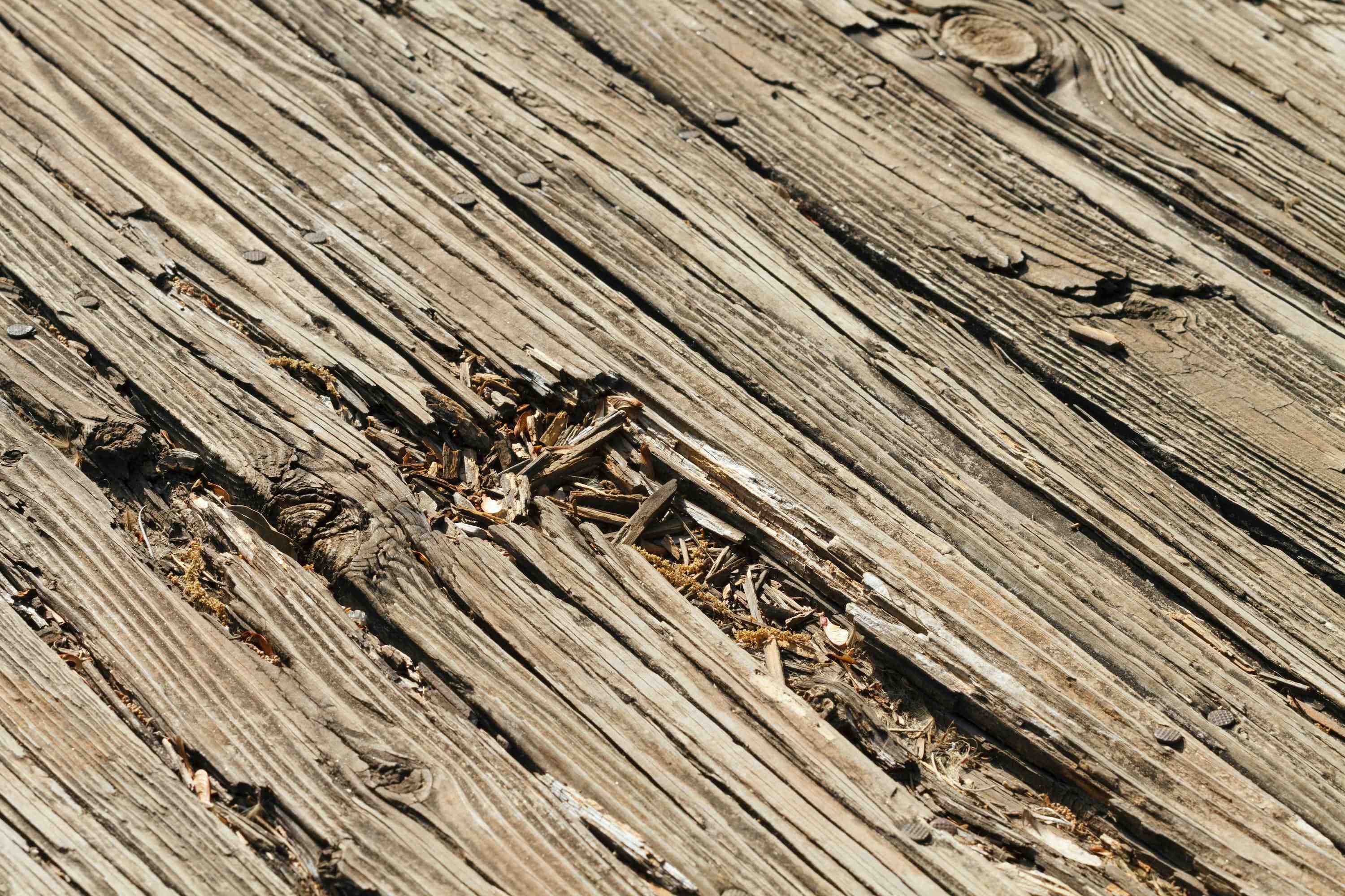 Wet & dry rot treatment service in Norwich | B&W Damp & Timber Preservation